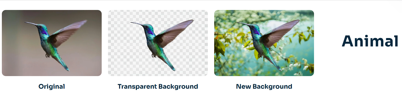 How to make photo backgrounds transparent online for free with AI ease